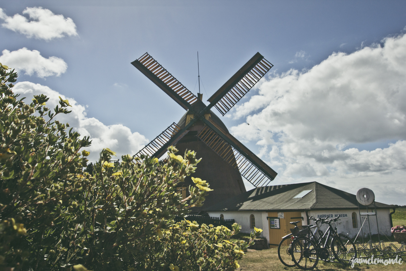 Allemagne : la mer des Wadden en 50 photos